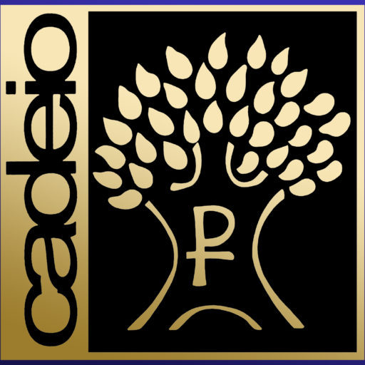 Diocese of Springfield in Illinois – Catholic Association of Diocesan ...